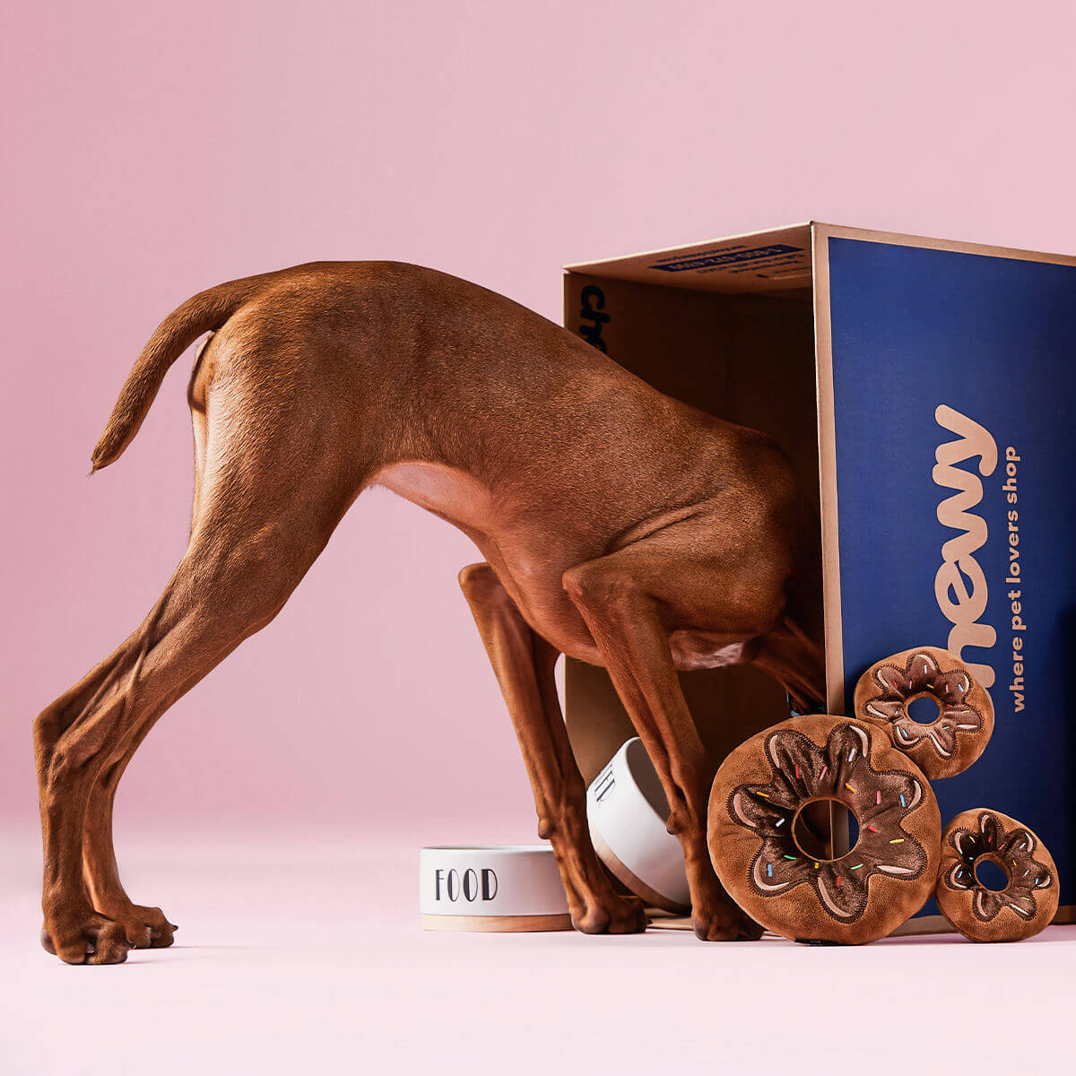 Chewy